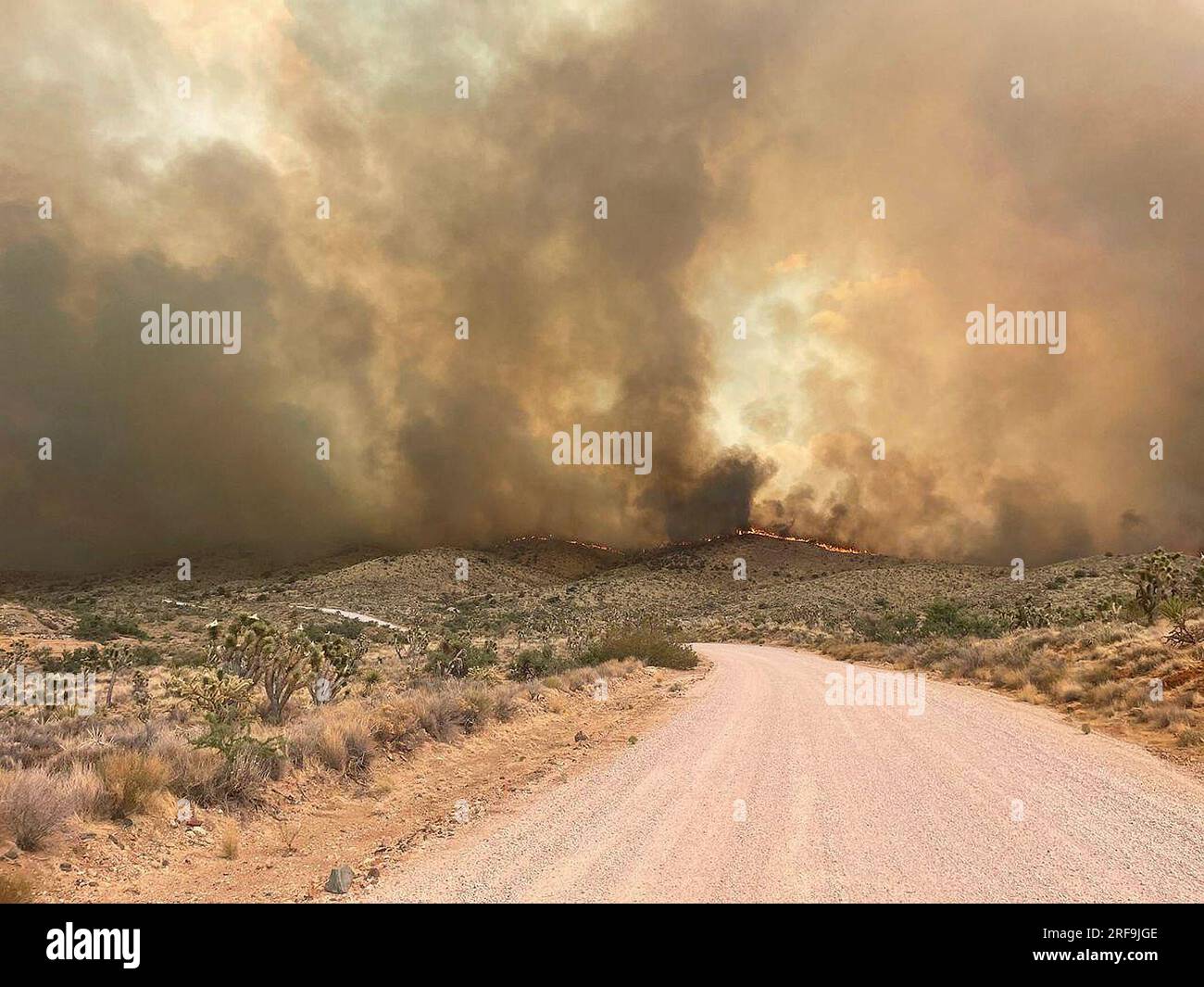 Mojave National Preserve, California, USA. 1st Aug, 2023. York Fire, a ...