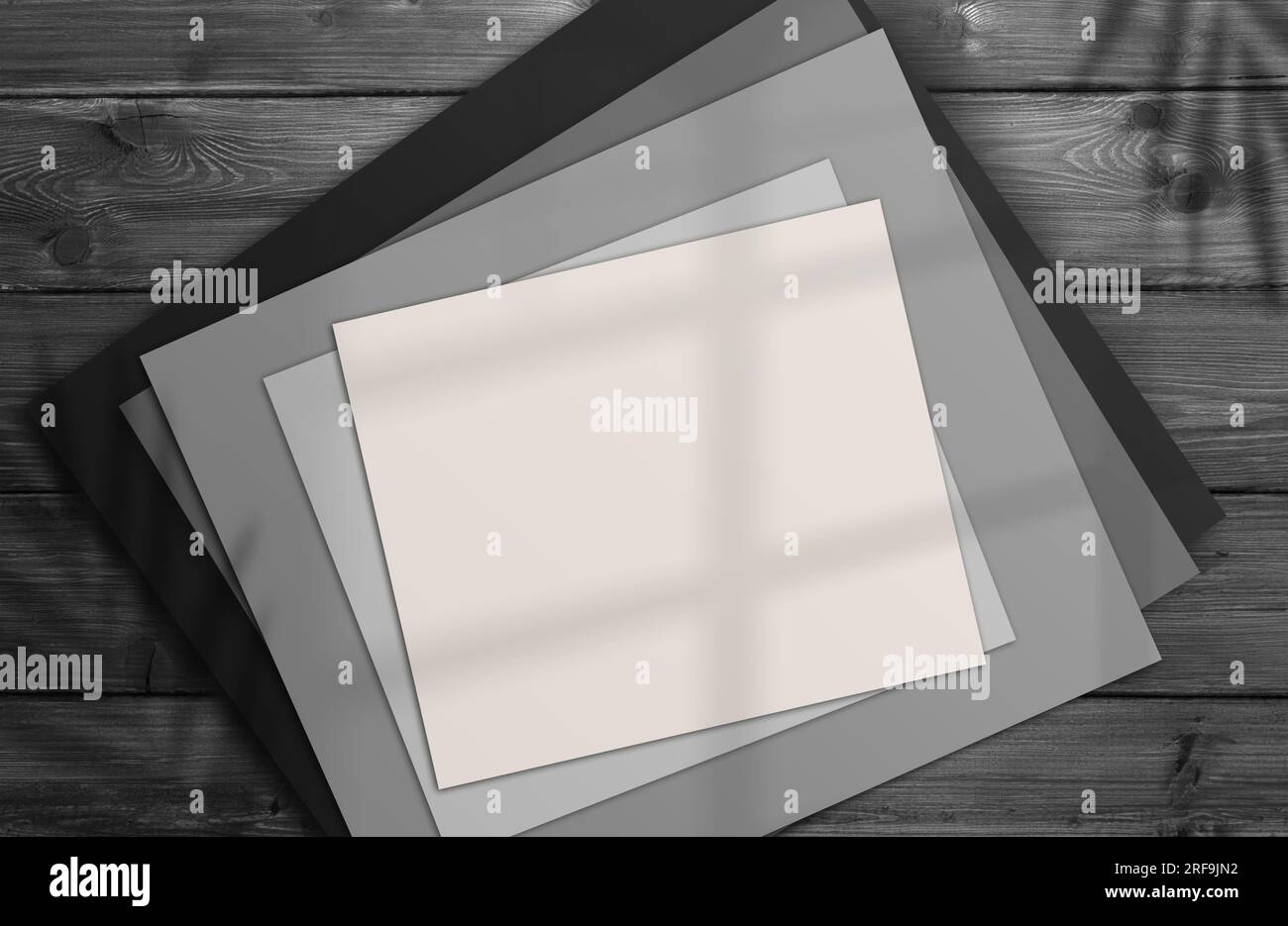 illustration Logo paper template . Square paper mockup with realistic ...