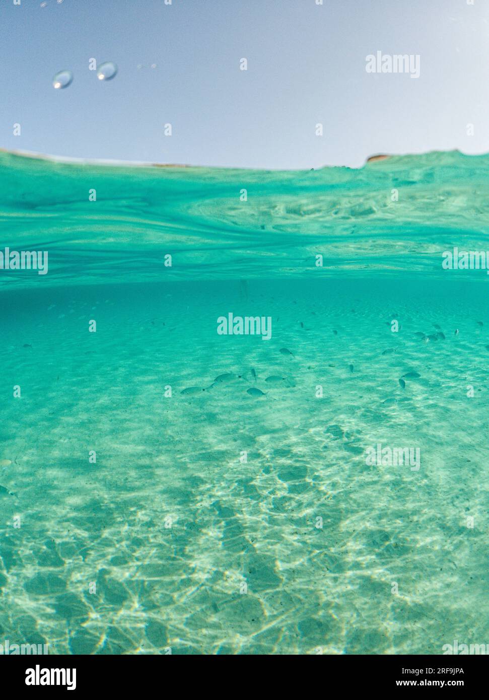 Halb unterwasser hi-res stock photography and images - Alamy