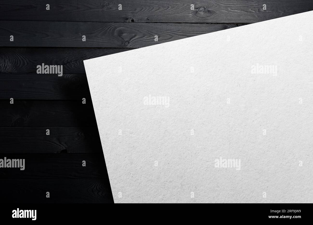 illustration Logo paper template . Square paper mockup with realistic ...