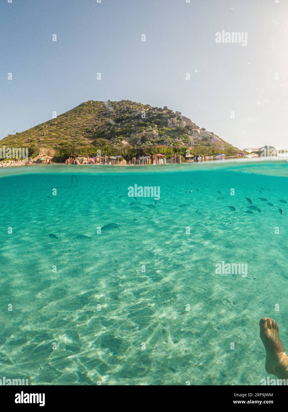 Halb unterwasser hi-res stock photography and images - Alamy