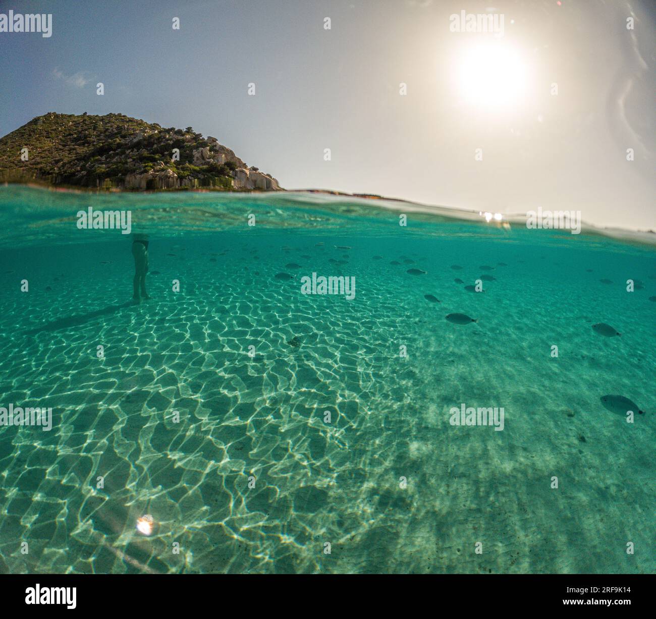 Halb unterwasser hi-res stock photography and images - Alamy