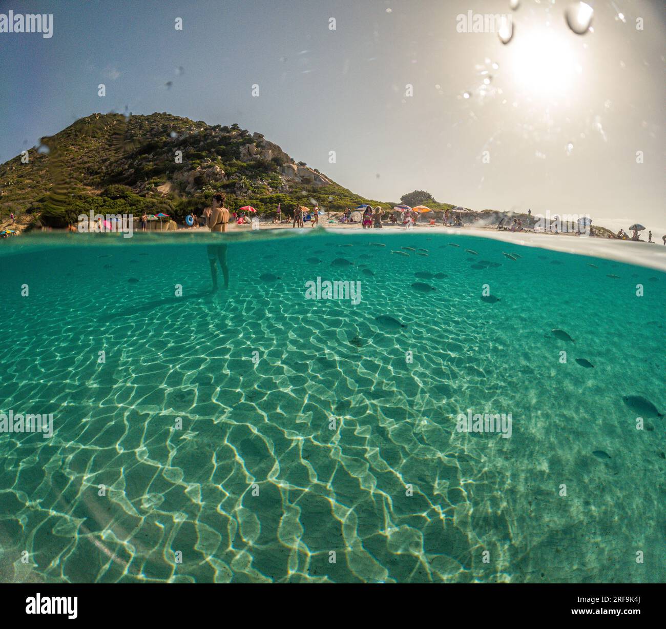 Halb unterwasser hi-res stock photography and images - Alamy