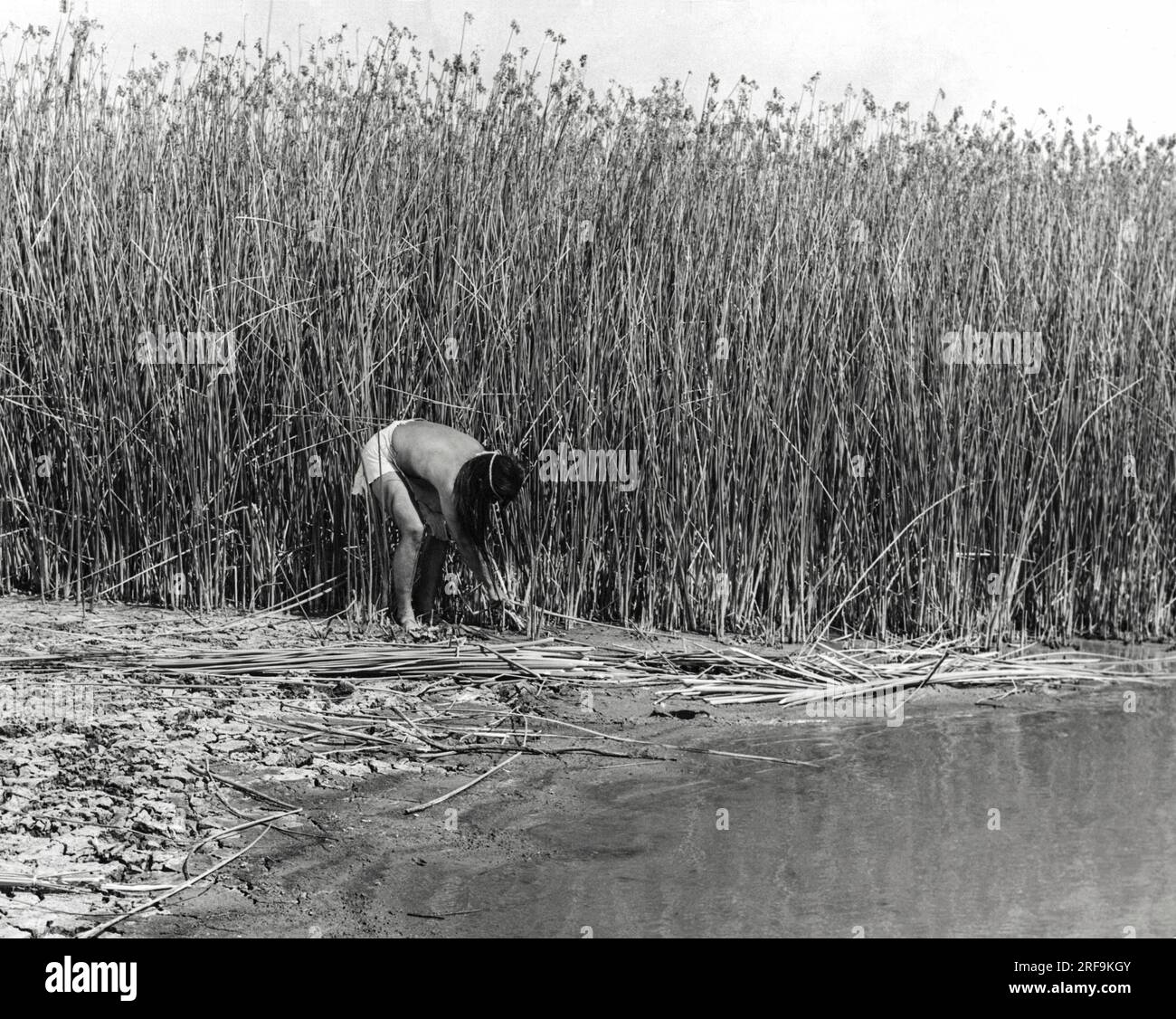 Yokuts hi-res stock photography and images - Alamy