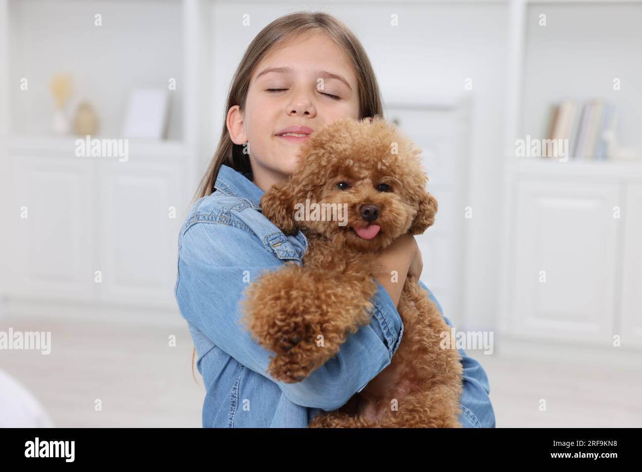 Little child with cute puppy at home. Lovely pet Stock Photo - Alamy