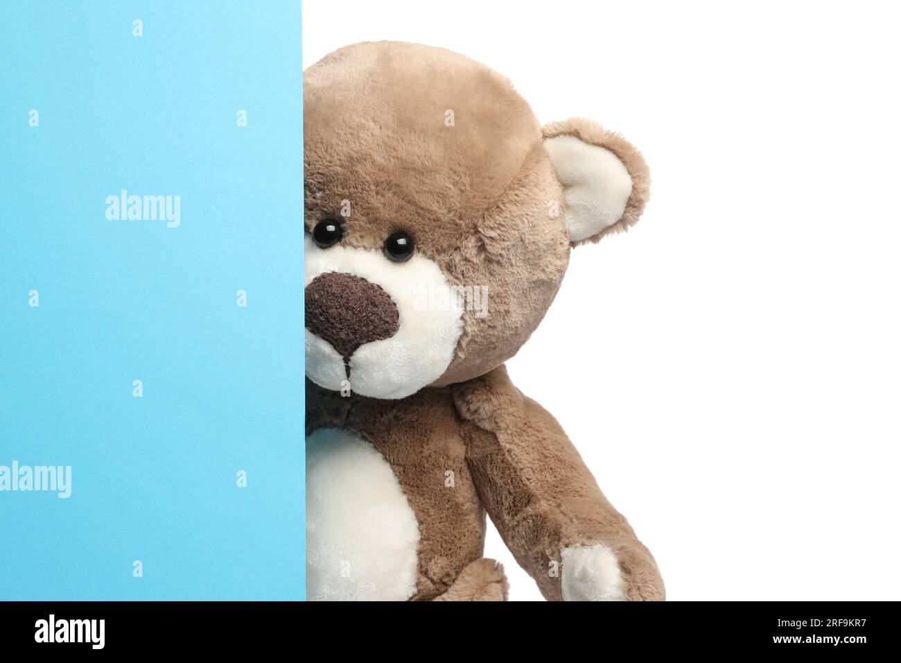 Cute teddy bear standing behind blank card isolated on white, space for ...