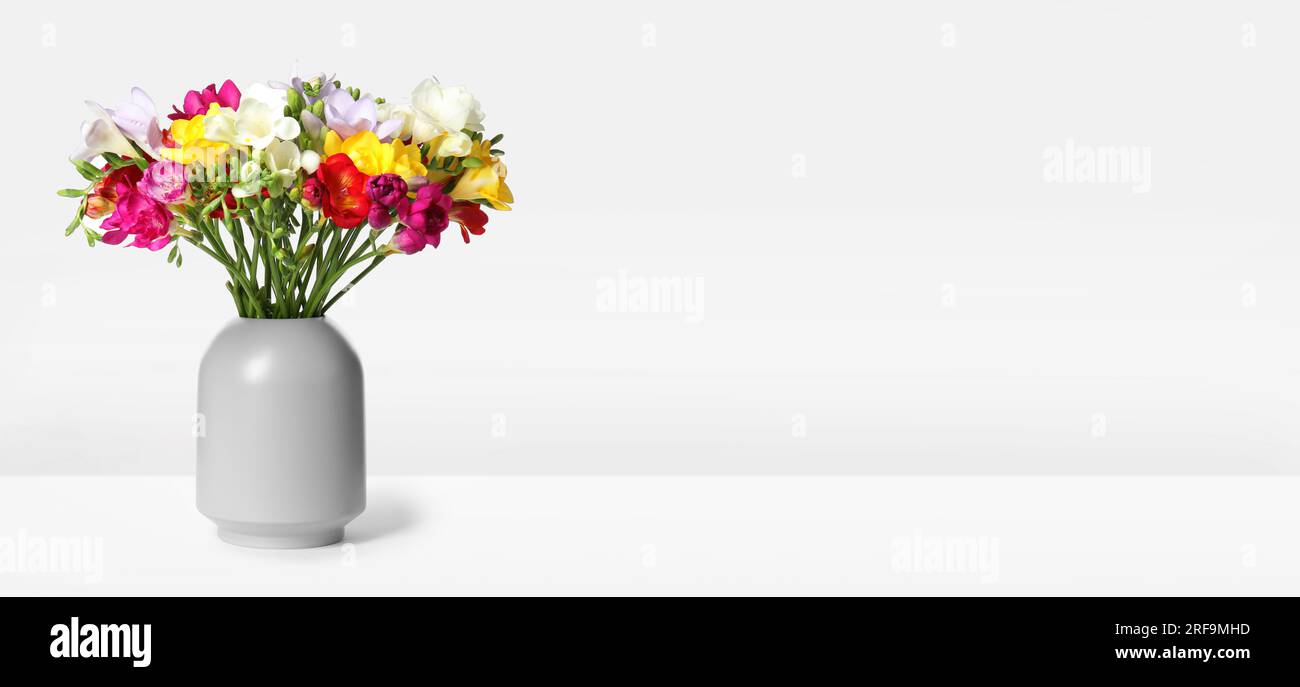 Vase with beautiful colorful freesias on white background, banner ...