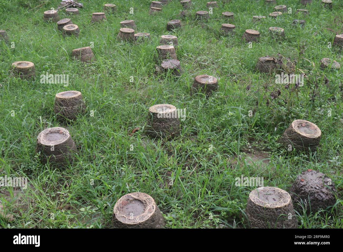 Garden soil base hi-res stock photography and images - Alamy