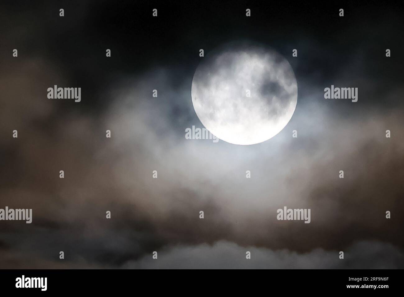 Tating, Germany. 02nd Aug, 2023. The full moon can be seen between ...