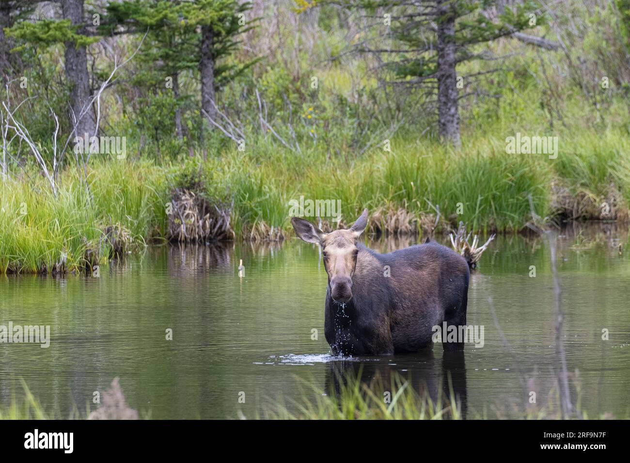 Jefferson lake recreation area hi-res stock photography and images - Alamy