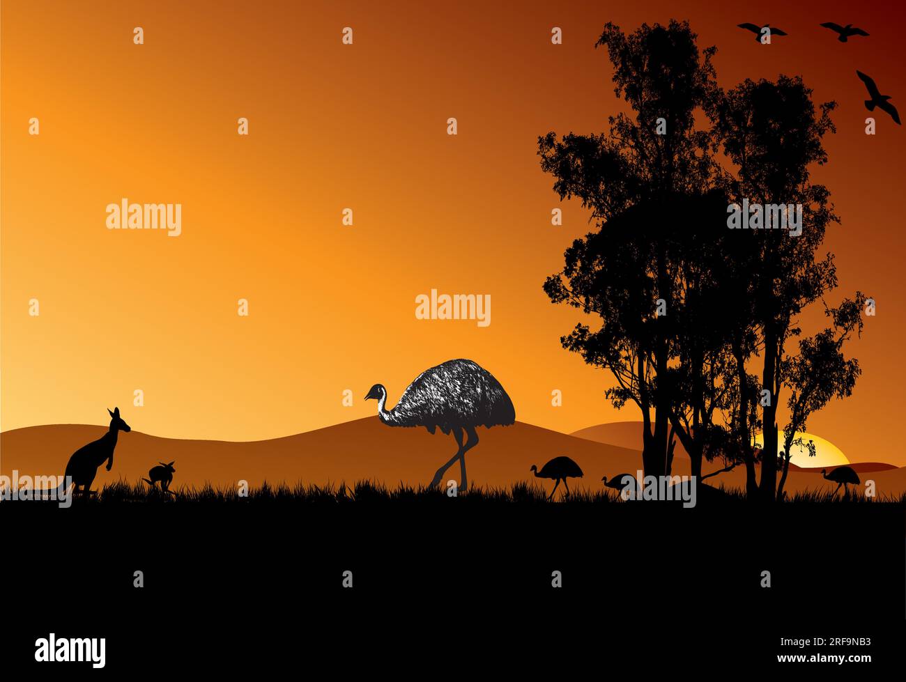 Two kookaburra Stock Vector Images - Alamy