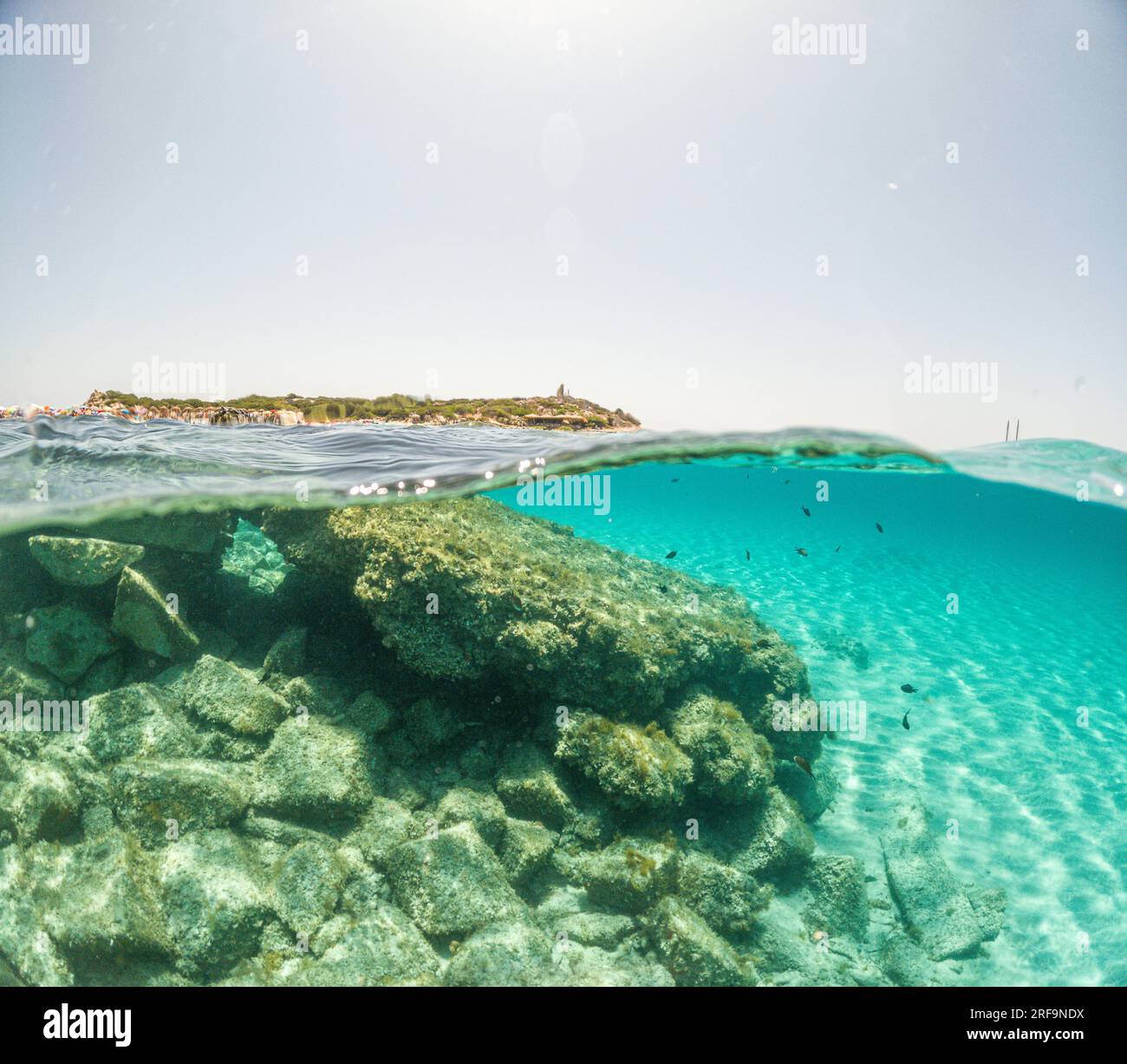 Halb unterwasser hi-res stock photography and images - Alamy