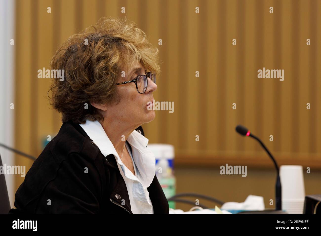 Attorney michelle burrows hi-res stock photography and images - Alamy