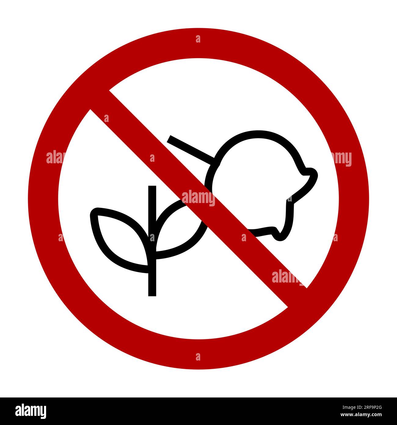 No break flowers symbol, prohibition sign, line icon. Flat vector ...