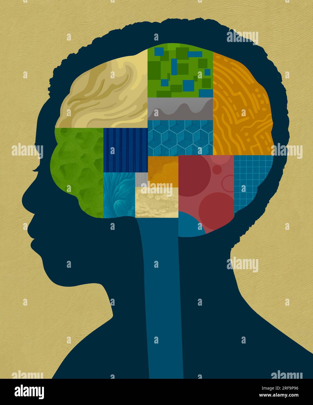 Modular brain, conceptual illustration Stock Photo - Alamy Modular brain, conceptual illustration Stock Photo - Alamy