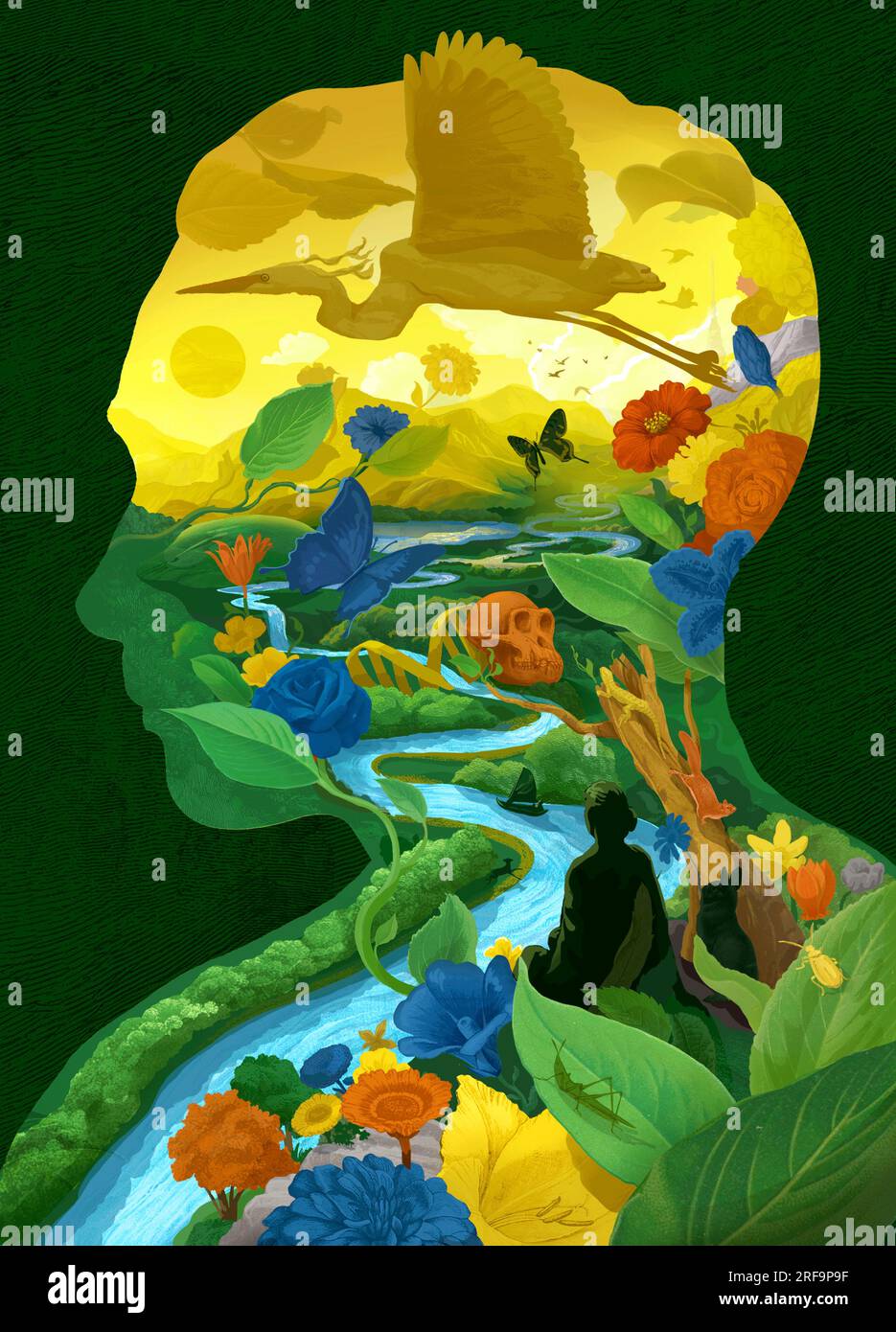 Evolution, conceptual illustration Stock Photo - Alamy