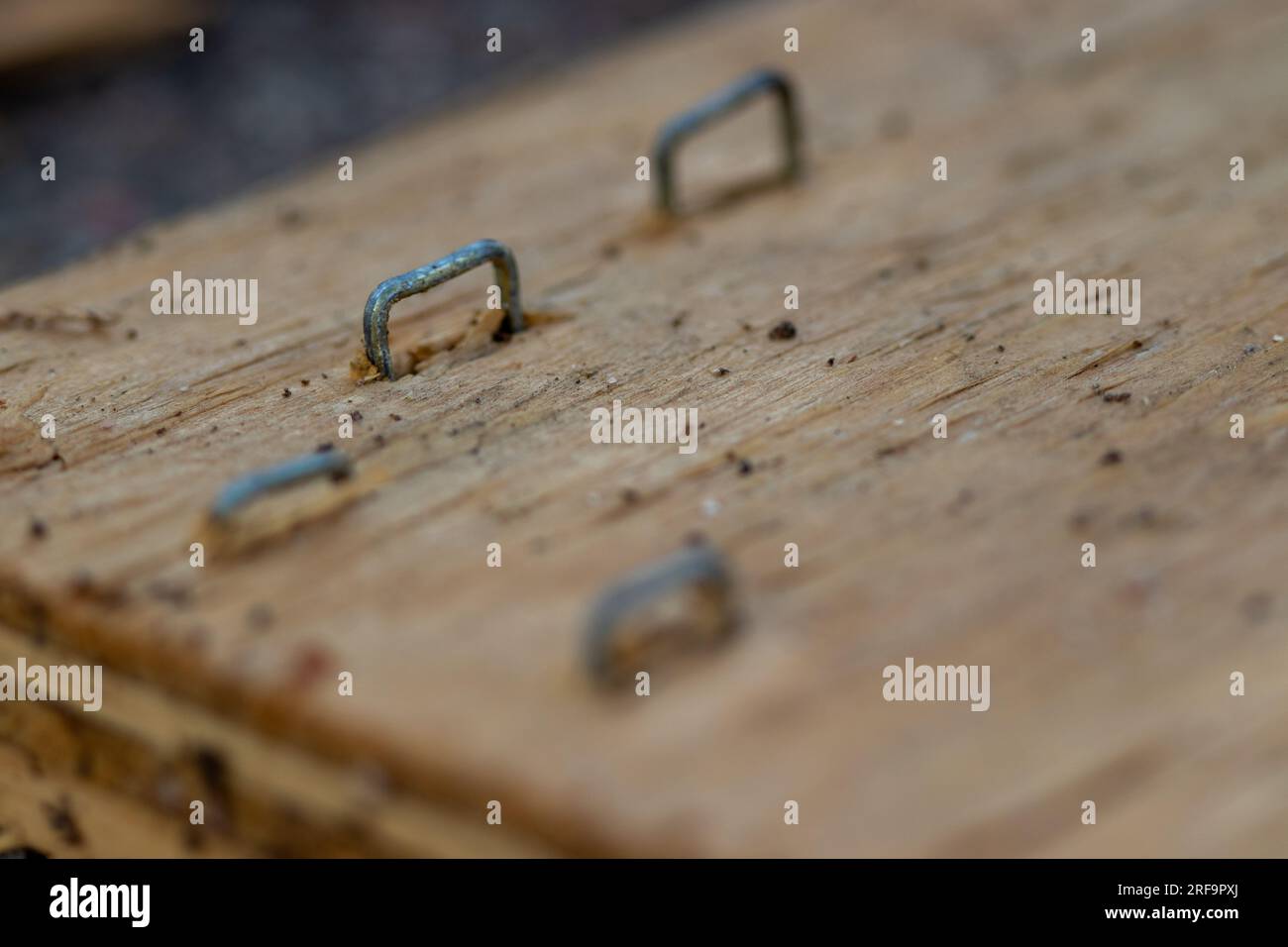 Old staples hi-res stock photography and images - Alamy