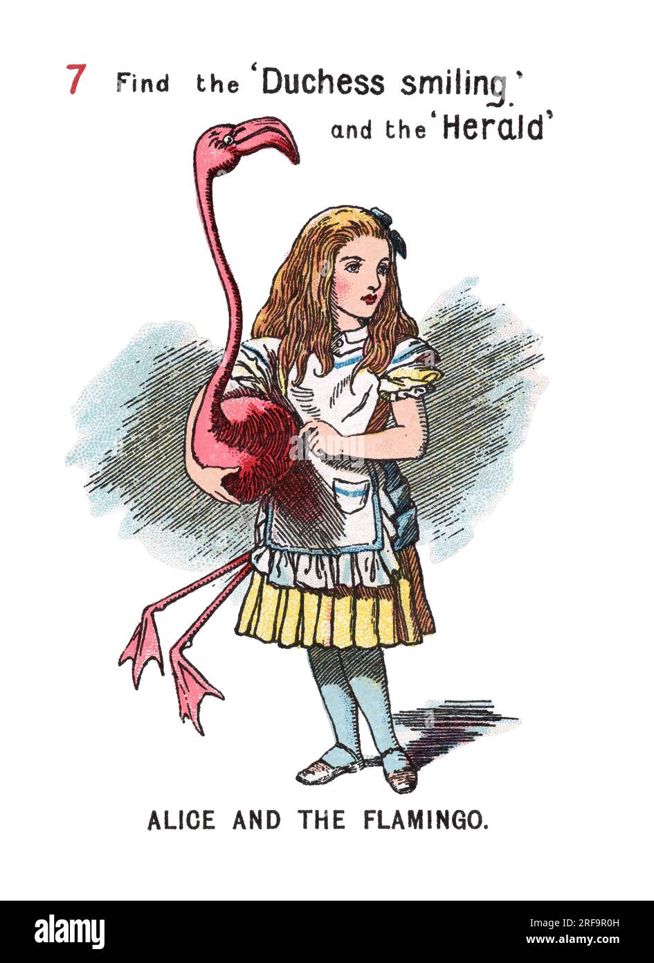 Alice In Wonderland Flamingo
