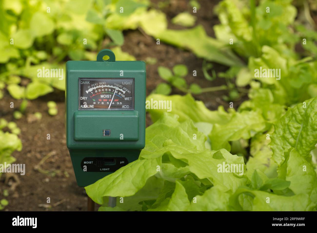 Green plants and three way meter PH, light and moisture in the soil ...