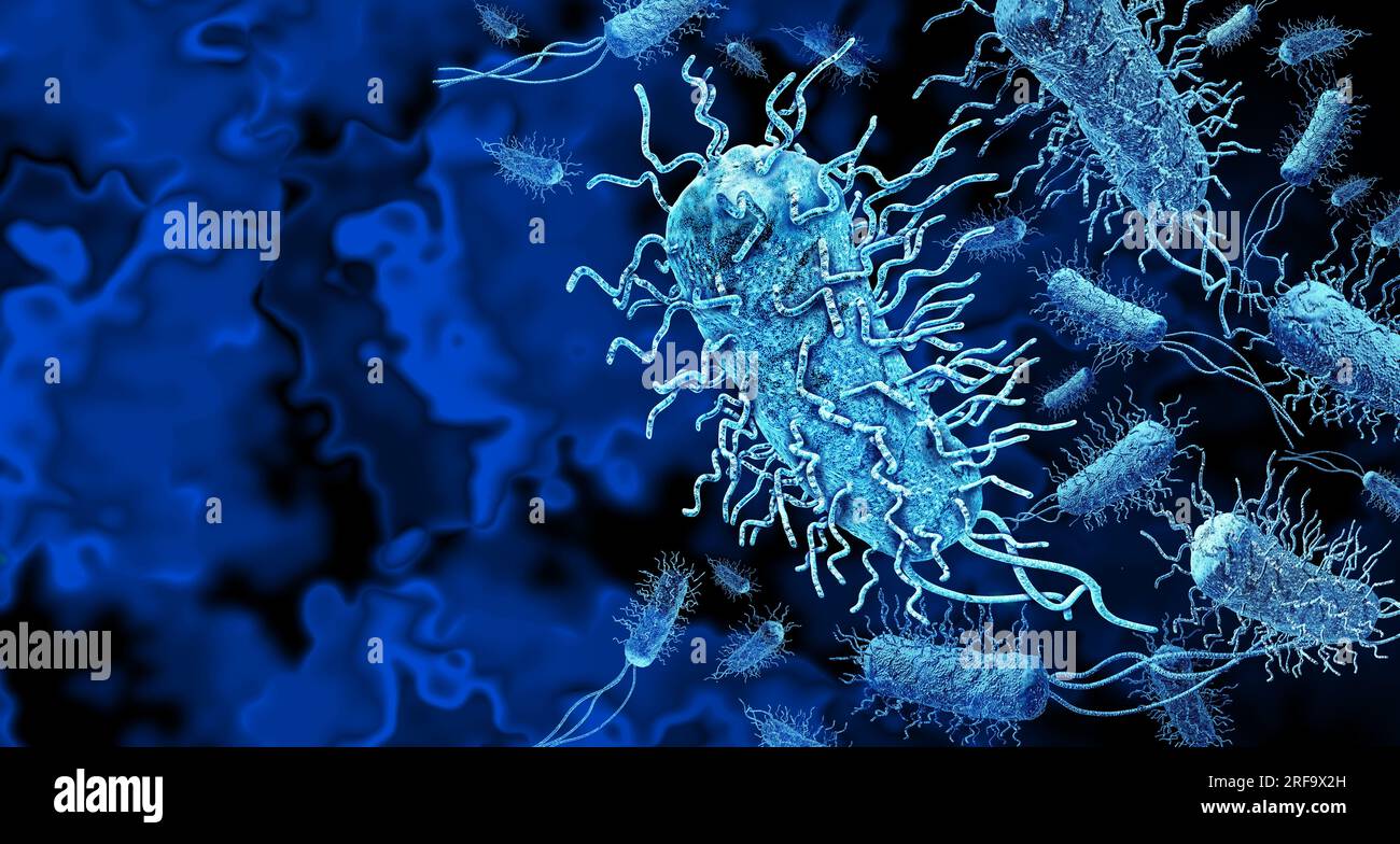 Bacterial cell hi-res stock photography and images - Alamy