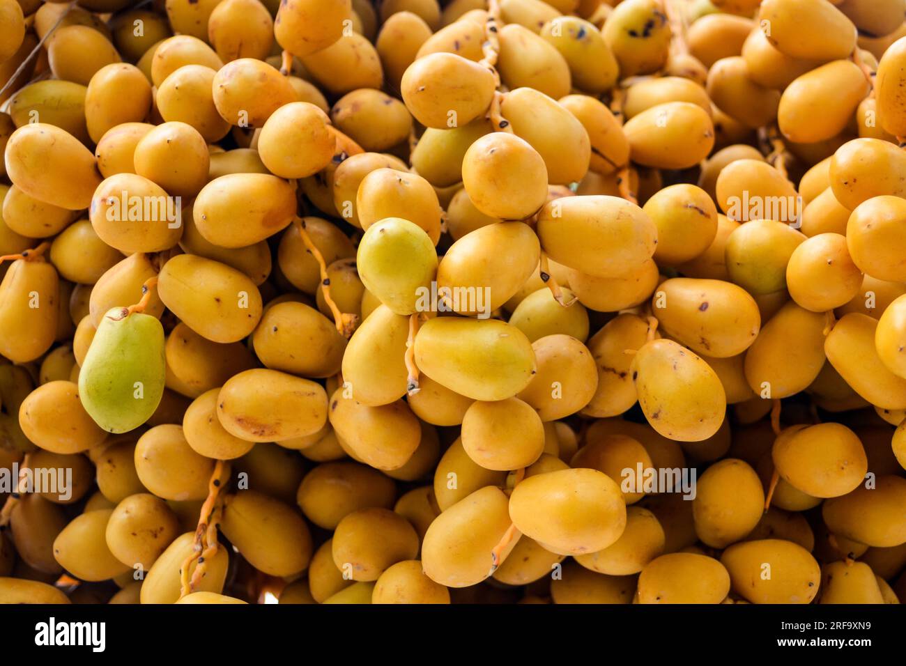 A bunch of dates hi-res stock photography and images - Alamy