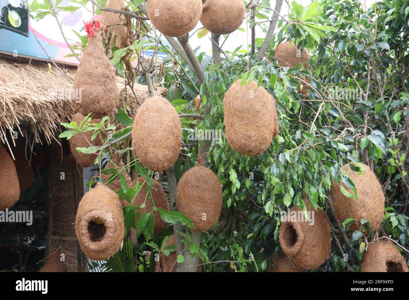 Handcrafted bird nest hi-res stock photography and images - Alamy