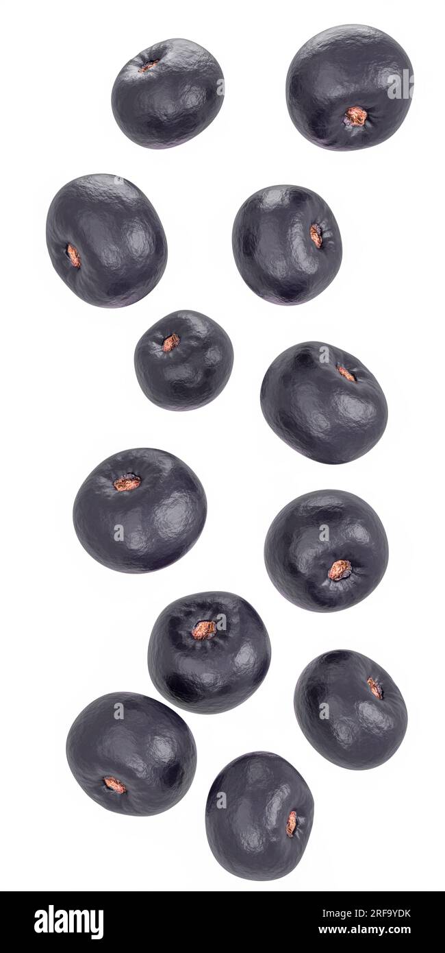 Falling (flying in the air) acai berries isolated on a white background ...
