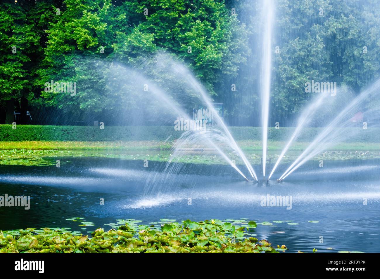 Beautiful fountain in lake at the park. Splashing streams Stock Photo ...
