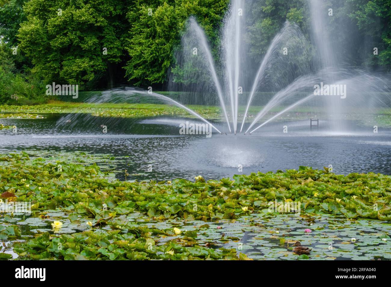 Fountain in slow motion summer hi-res stock photography and images - Alamy