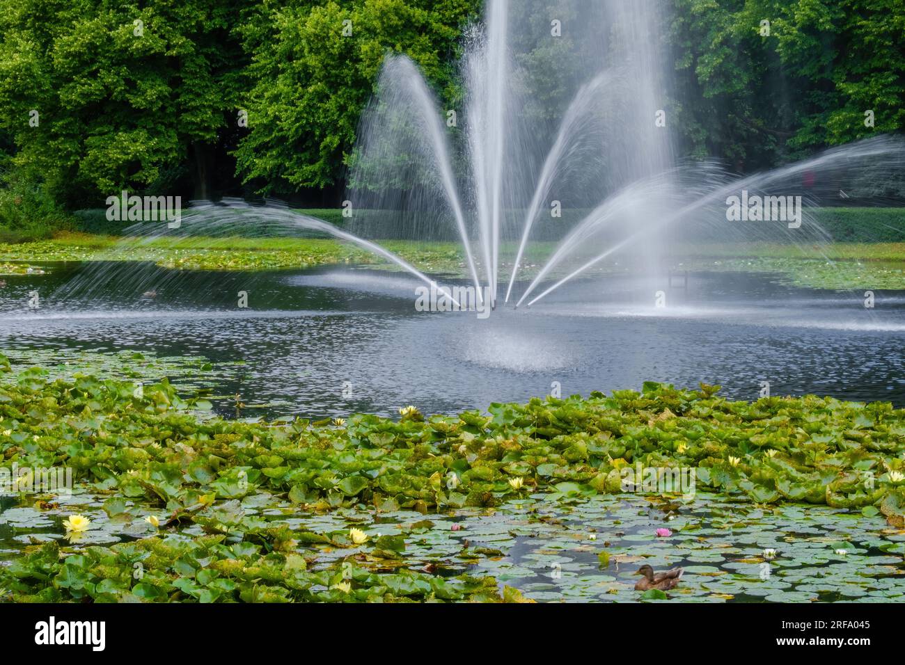 Beautiful fountain in lake at the park. Splashing streams Stock Photo ...