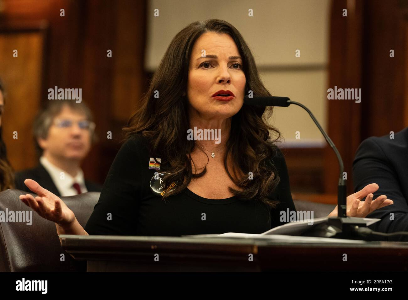 SAG-AFTRA President Fran Drescher testifies during City Council ...