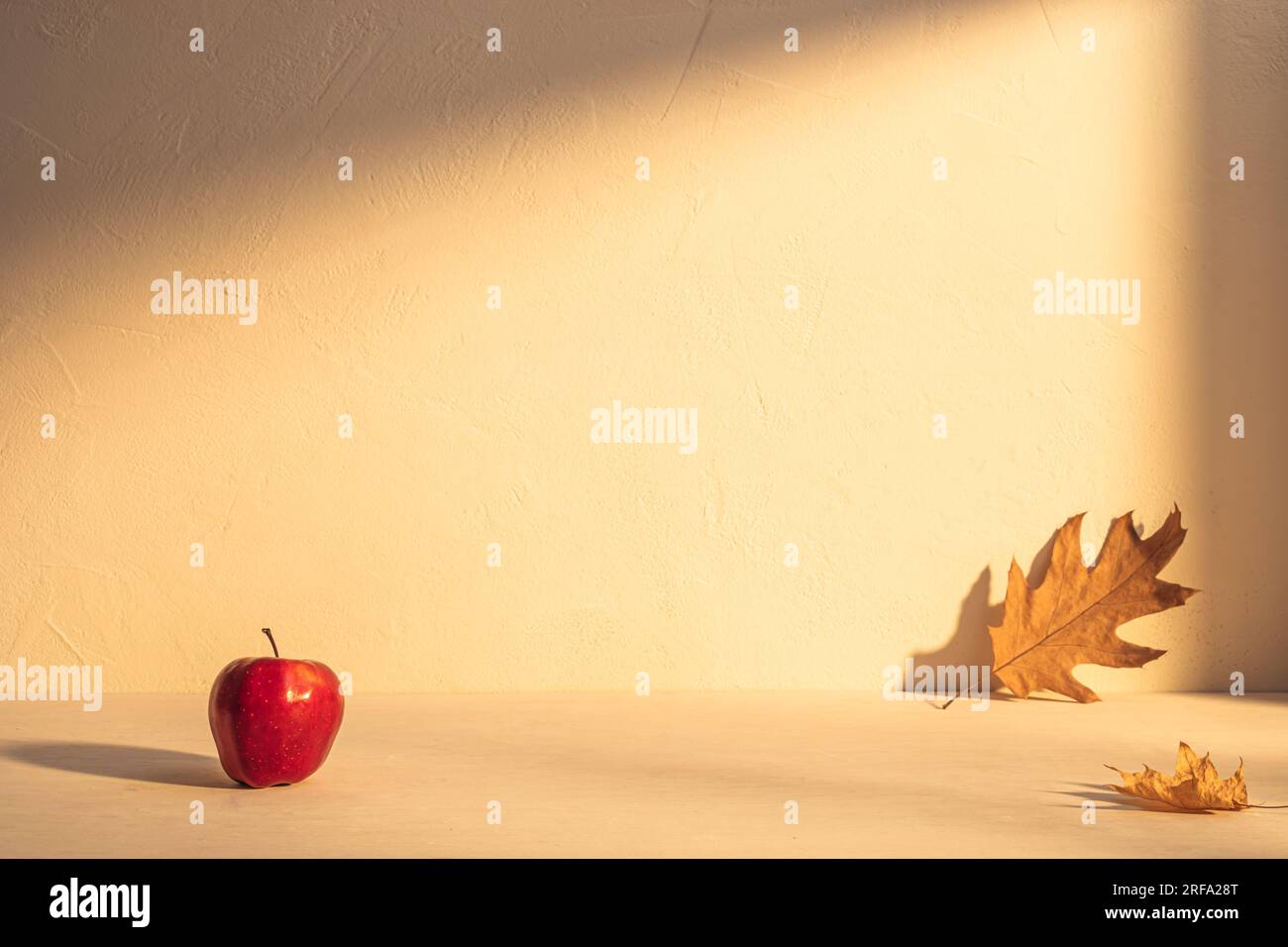 A red apple in front of a beige wall, in golden sunlight. Kitchen still ...