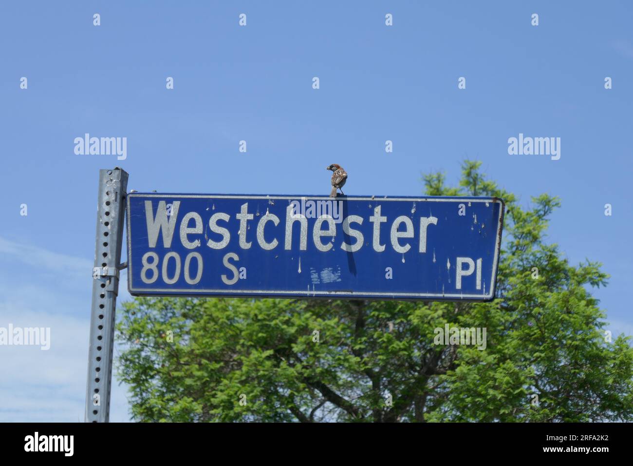 Los Angeles, California, USA 1st August 2023 Comedian/Actor Buster ...