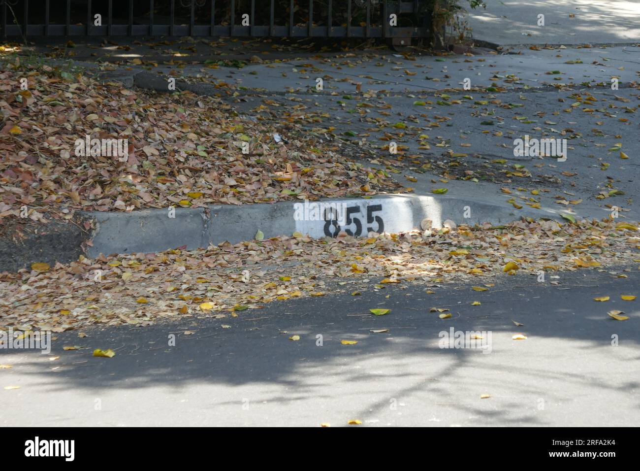 Los Angeles, California, USA 1st August 2023 Comedian/Actor Buster ...