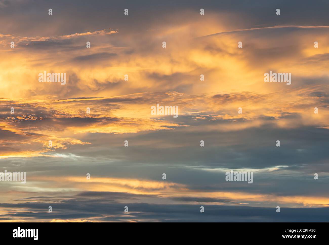 Golden lighting hi-res stock photography and images - Alamy