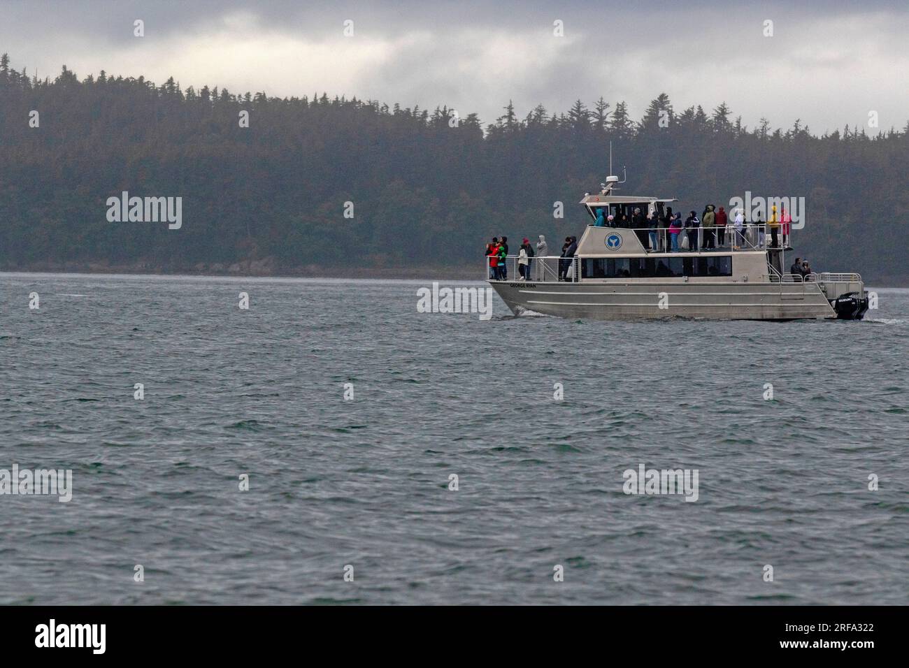 Whale-watching boat in Juneau Stock Photo - Alamy