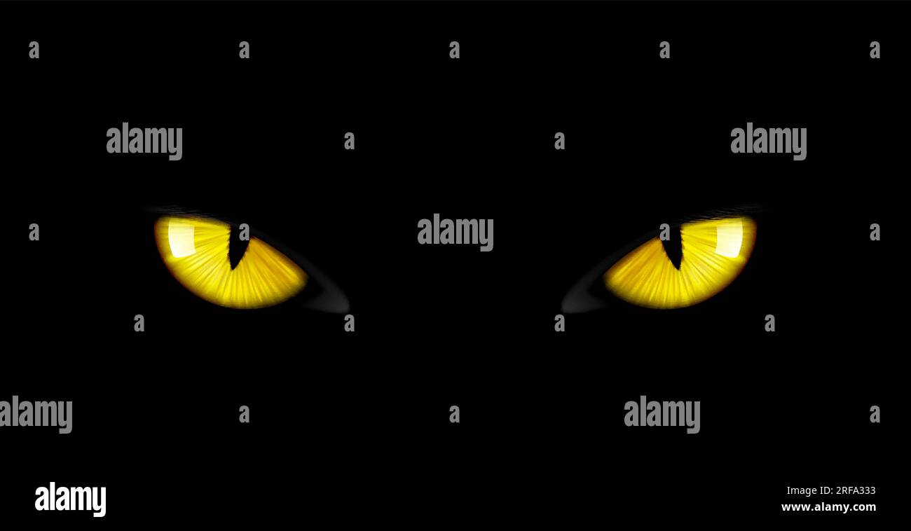 Panther Eyes Vector