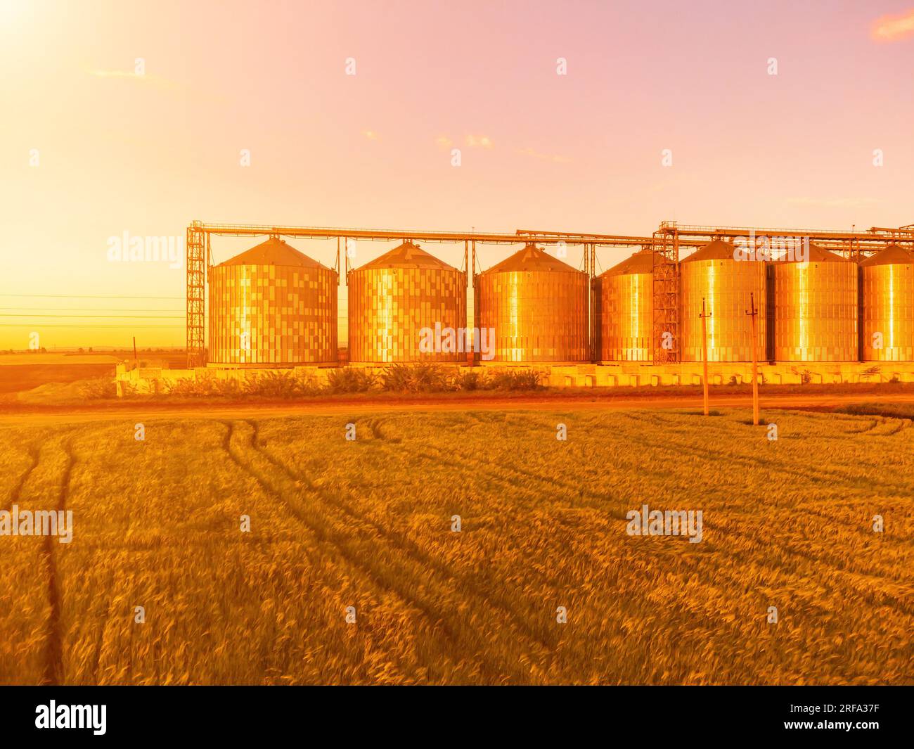 Grain silos on a green field background with warm sunset light. Grain ...