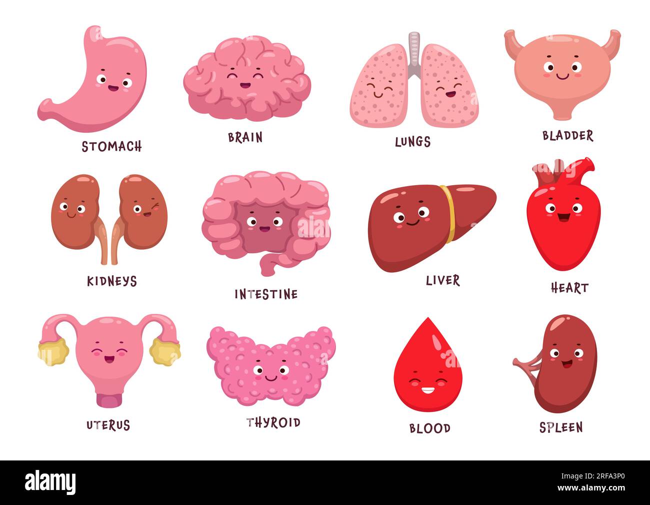 Cartoon human body organ characters, vector funny anatomy personages ...