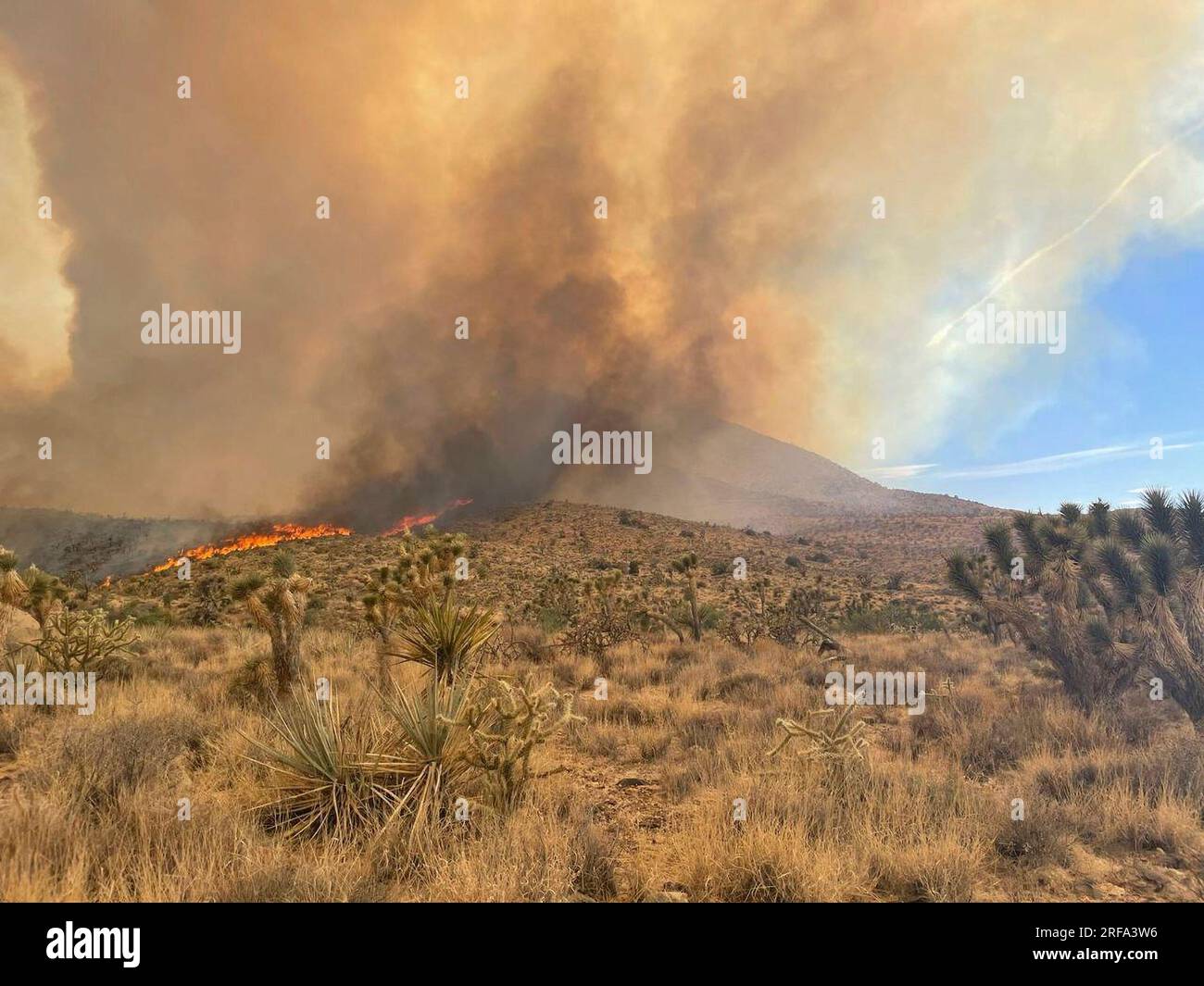 The York Fire burns in the Mojave National Preserve on July 29, 2023 ...