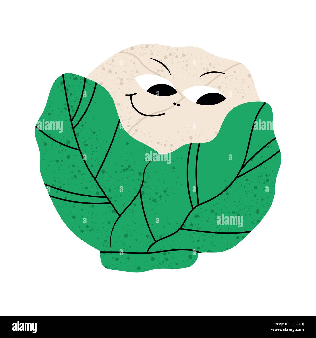 Cute funny cauliflower character Stock Vector Image & Art - Alamy