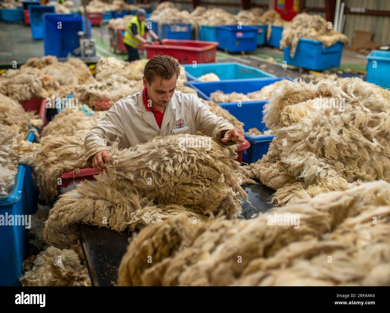 1st August 2023 Selkirk, Scottish Borders. Scotland. Image shows ...