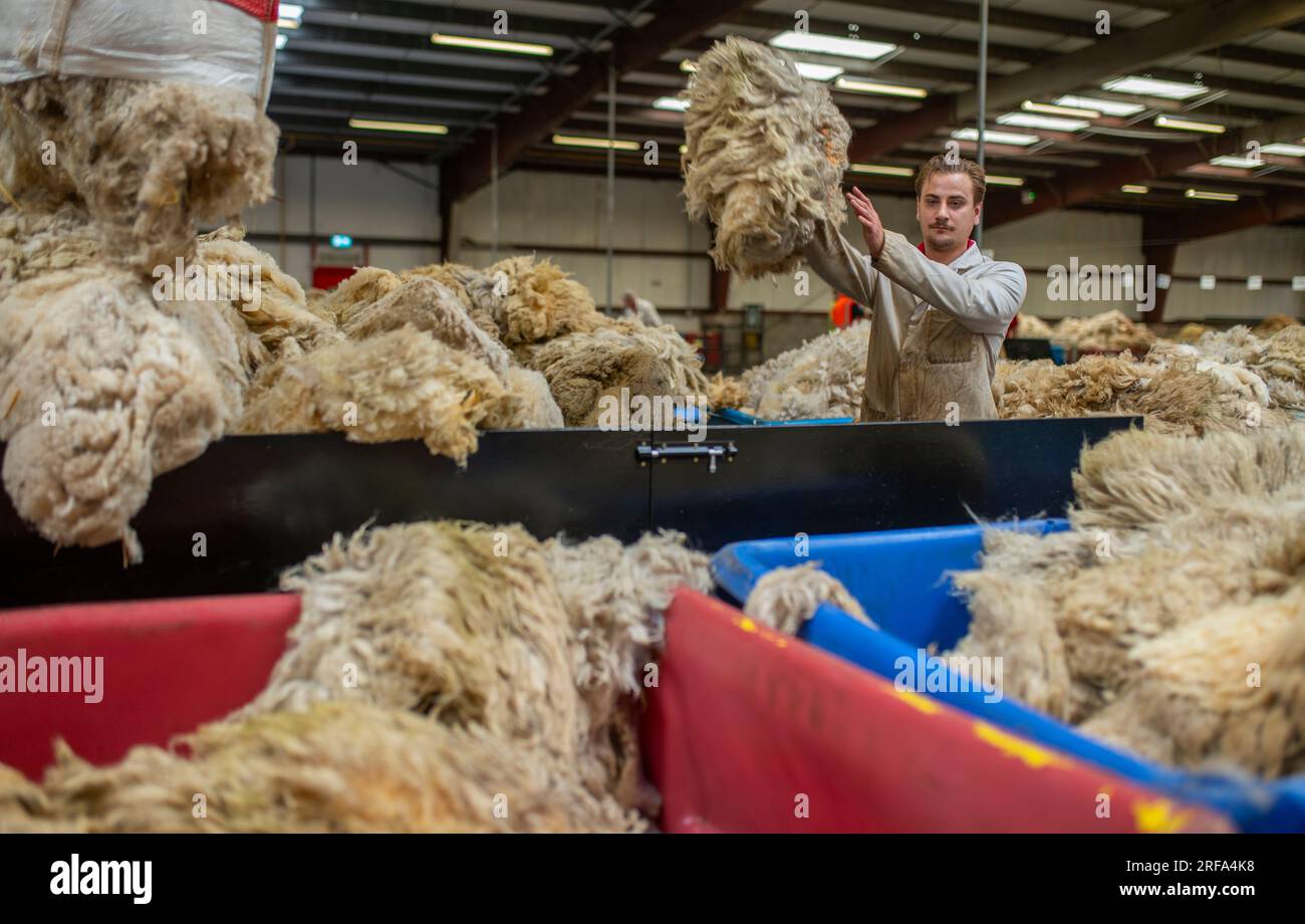 1st August 2023 Selkirk, Scottish Borders. Scotland. Image shows ...