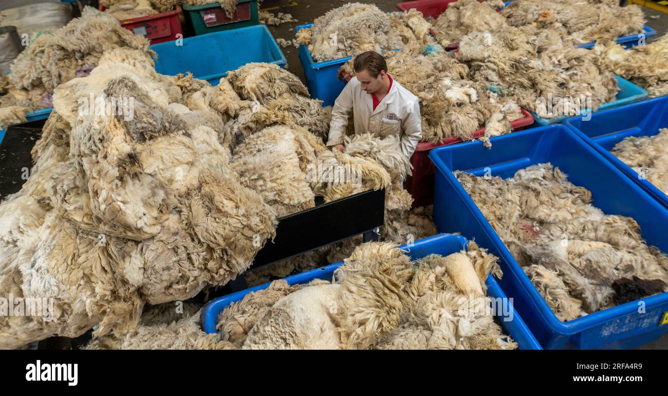 1st August 2023 Selkirk, Scottish Borders. Scotland. Image shows ...
