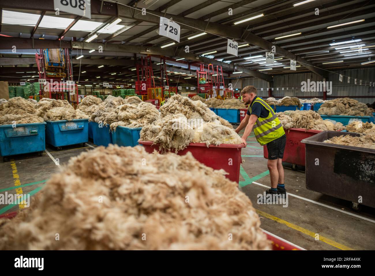 1st August 2023 Selkirk, Scottish Borders. Scotland. British Wool are ...