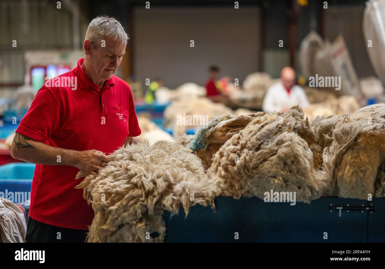 1st August 2023 Selkirk, Scottish Borders. Scotland. Image shows ...