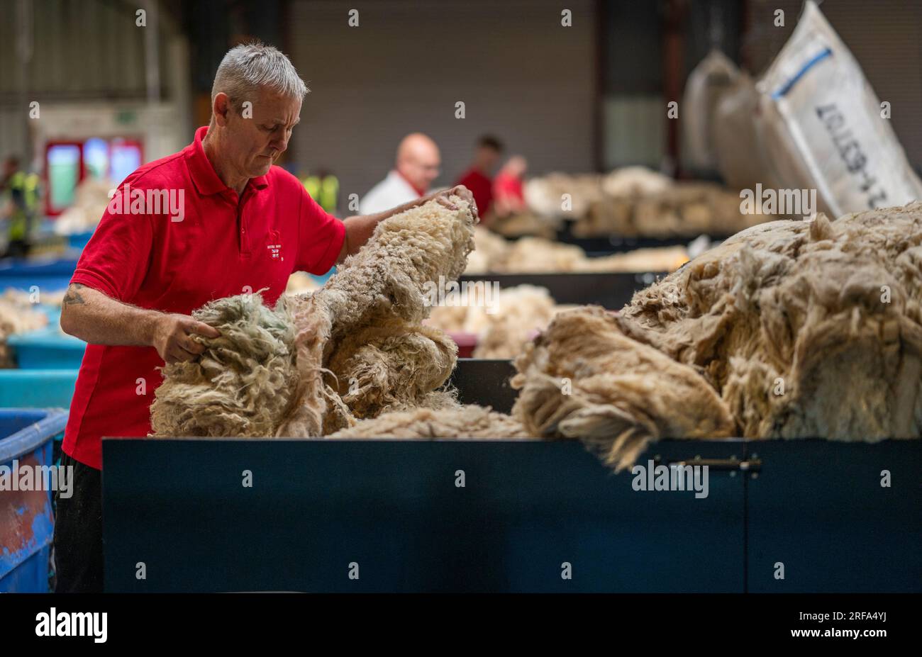 1st August 2023 Selkirk, Scottish Borders. Scotland. Image shows ...