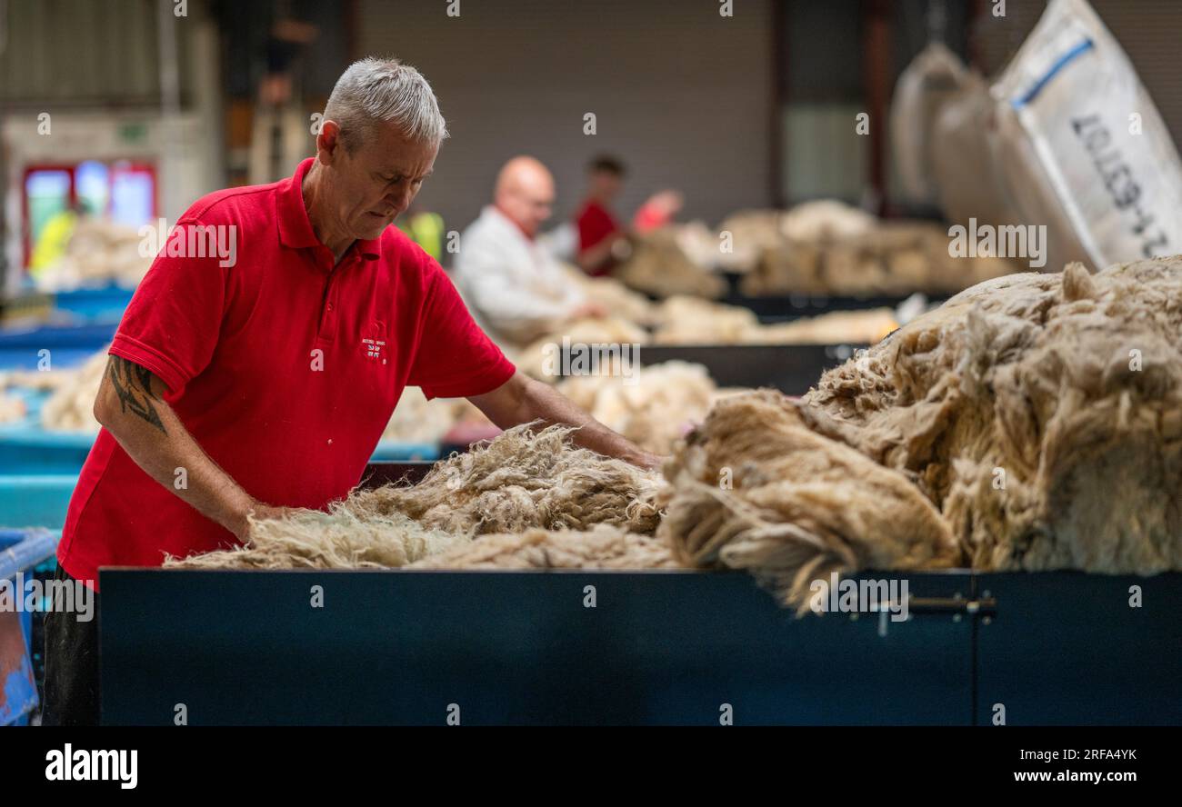 1st grader hi-res stock photography and images - Alamy