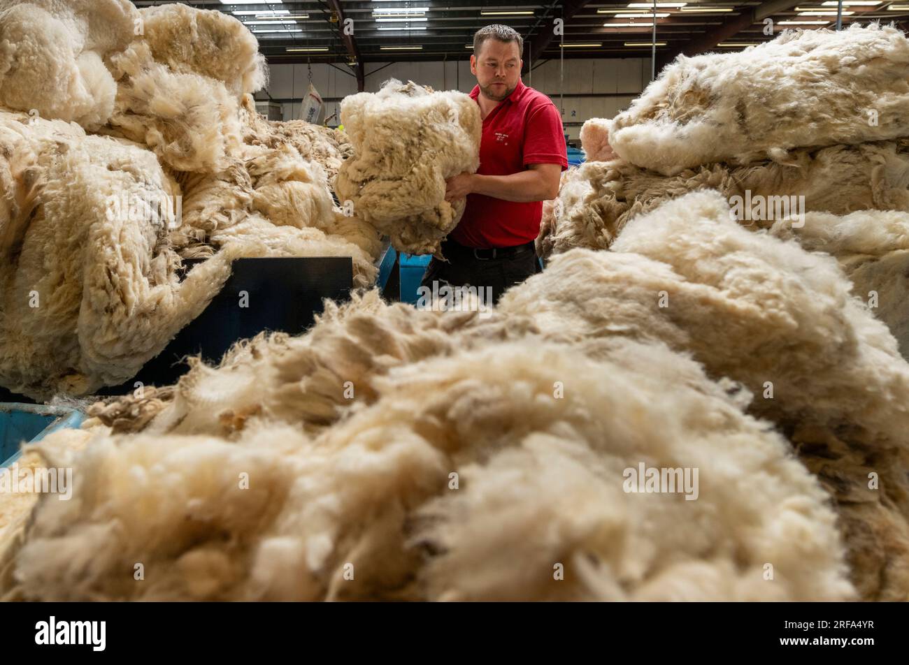 Craig hume hi-res stock photography and images - Alamy