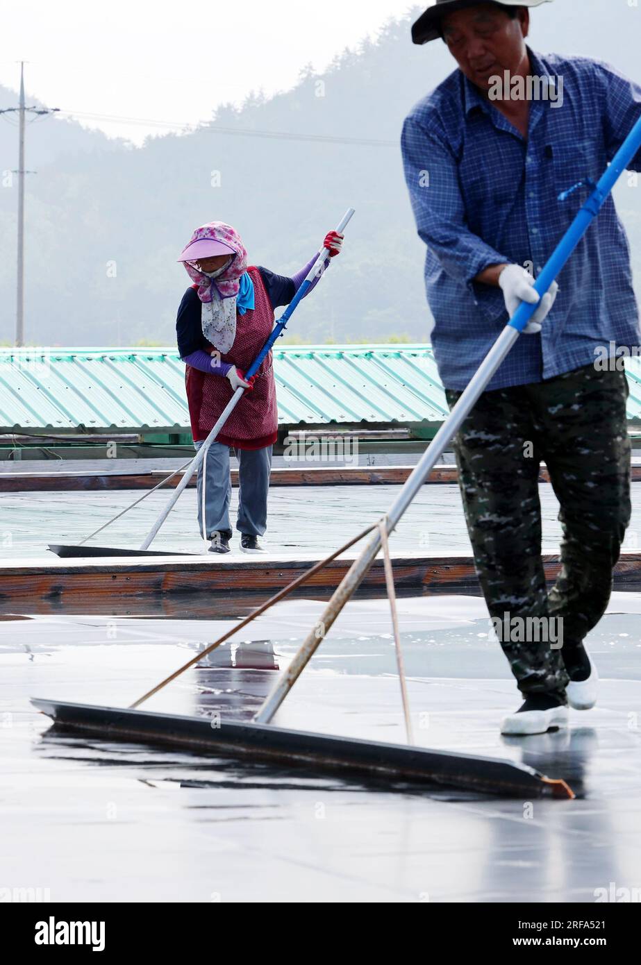 Making of sun-dried salt in S. Korea Workers rake a sun-dried salt ...